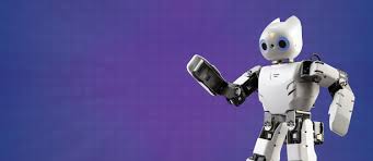 Man Marries Robot He Built Himself - The Next Rex